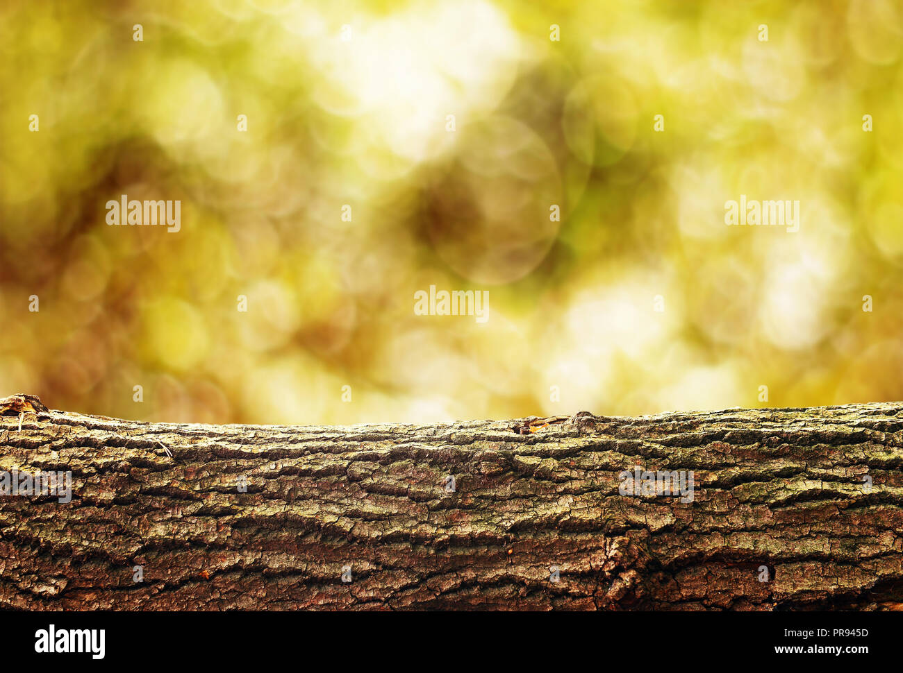 Wooden log background for product display montages Stock Photo - Alamy