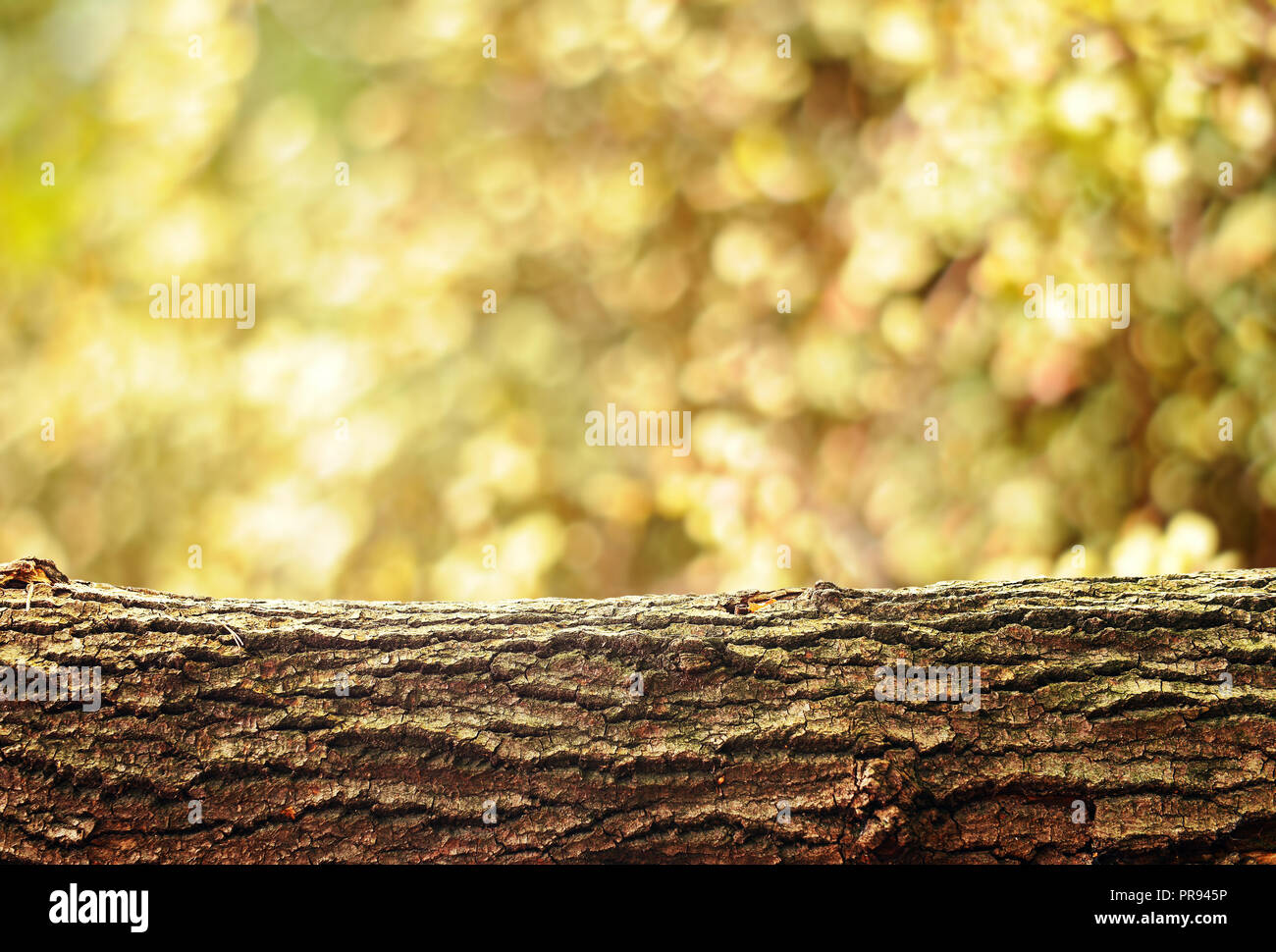 Wooden log background for product display montages Stock Photo - Alamy