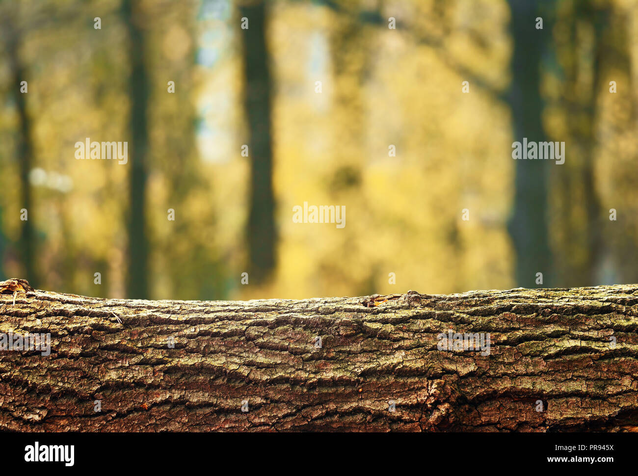 Wooden log background for product display montages Stock Photo - Alamy