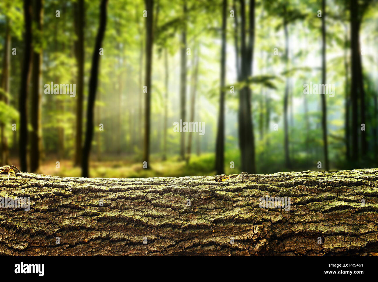 Wooden log background for product display montages Stock Photo - Alamy
