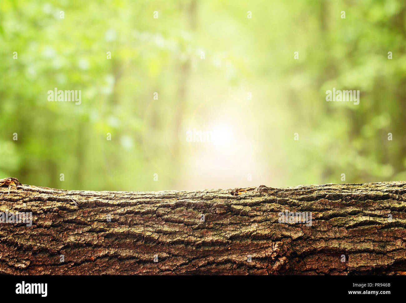 Wooden log background for product display montages Stock Photo - Alamy
