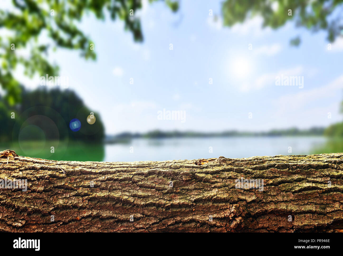 Wooden log background for product display montages Stock Photo - Alamy