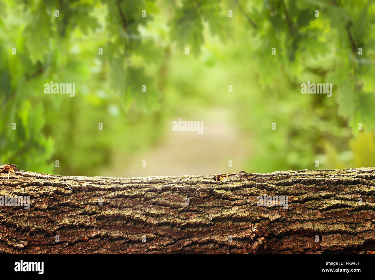 Wooden log background for product display montages Stock Photo - Alamy