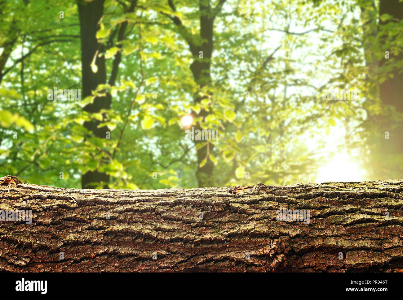 Wooden log background for product display montages Stock Photo - Alamy