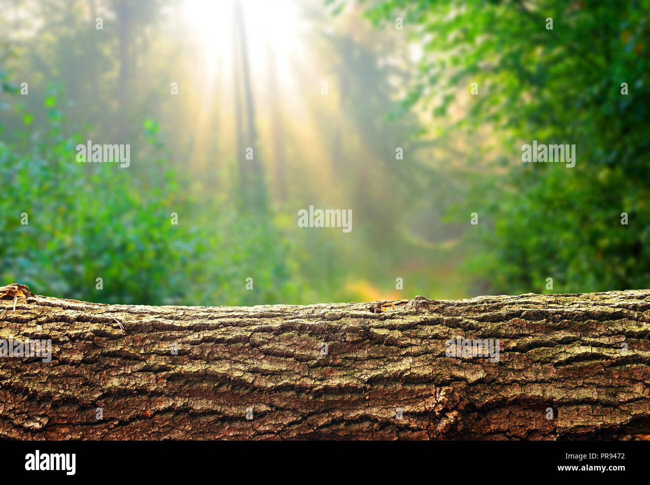 Wooden log background for product display montages Stock Photo - Alamy