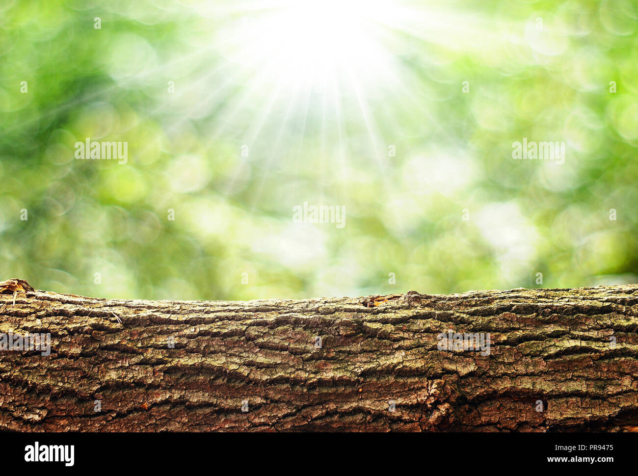 Wooden log background for product display montages Stock Photo - Alamy