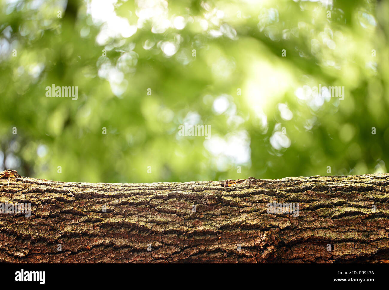 Wooden log background for product display montages Stock Photo - Alamy