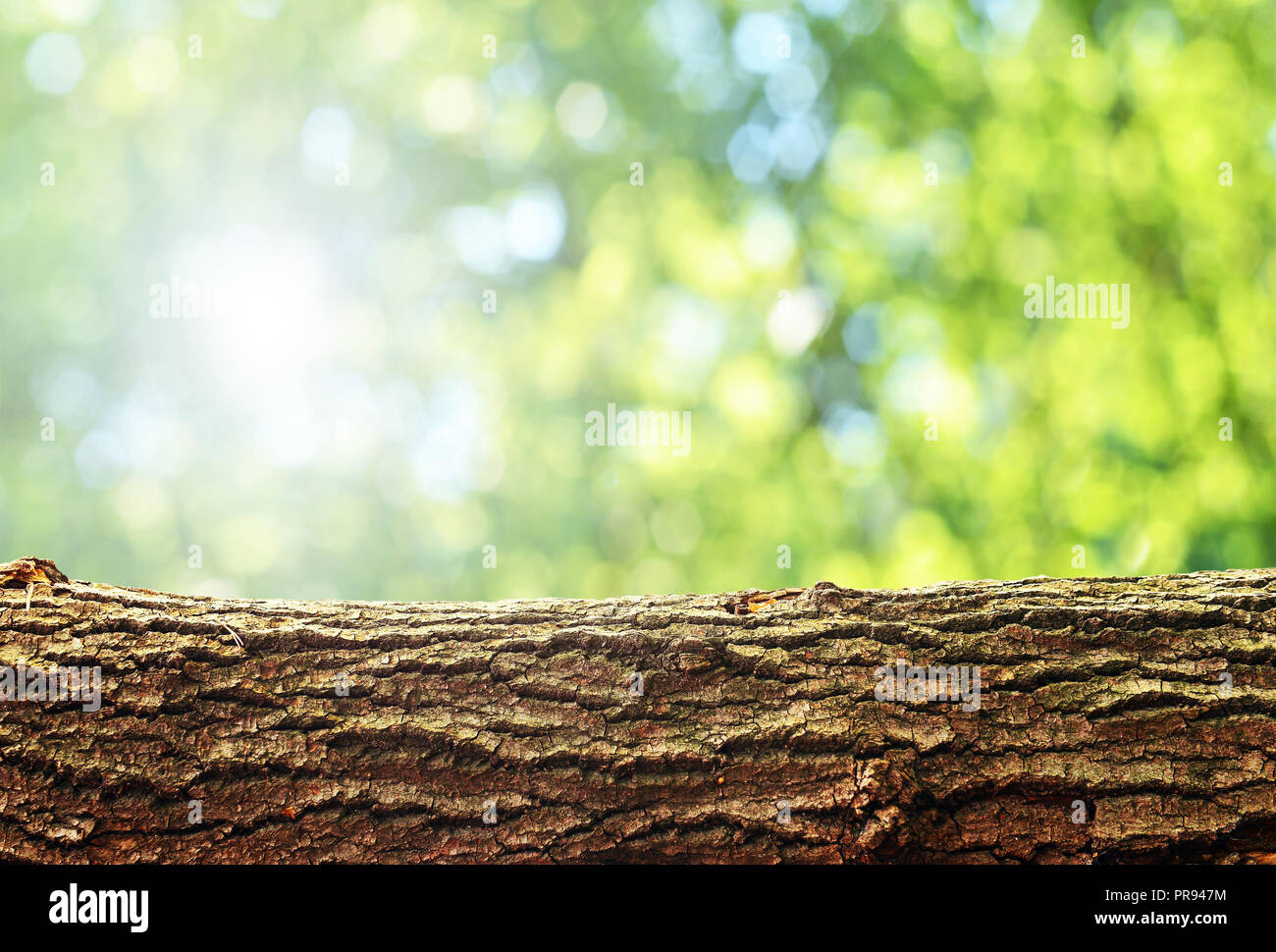 Wooden log background for product display montages Stock Photo - Alamy