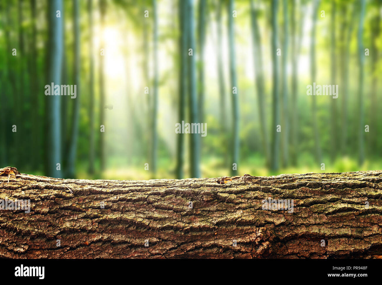 Wooden log background for product display montages Stock Photo - Alamy