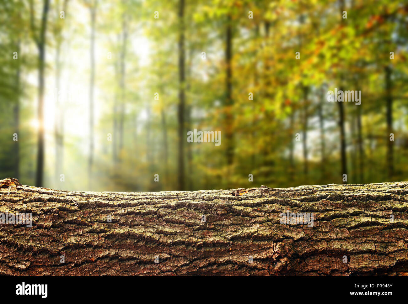 Wooden log background for product display montages Stock Photo - Alamy