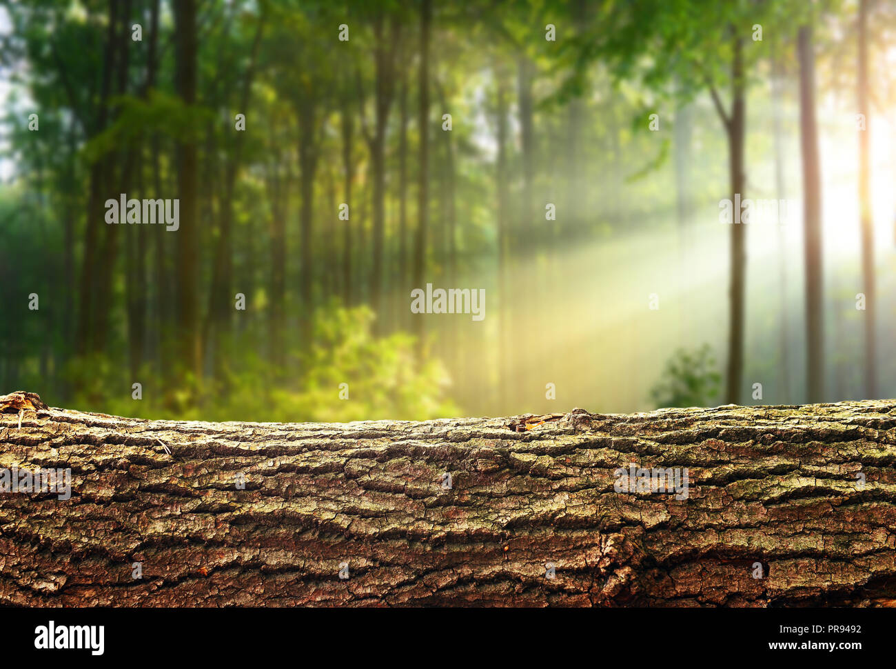 Wooden log background for product display montages Stock Photo - Alamy
