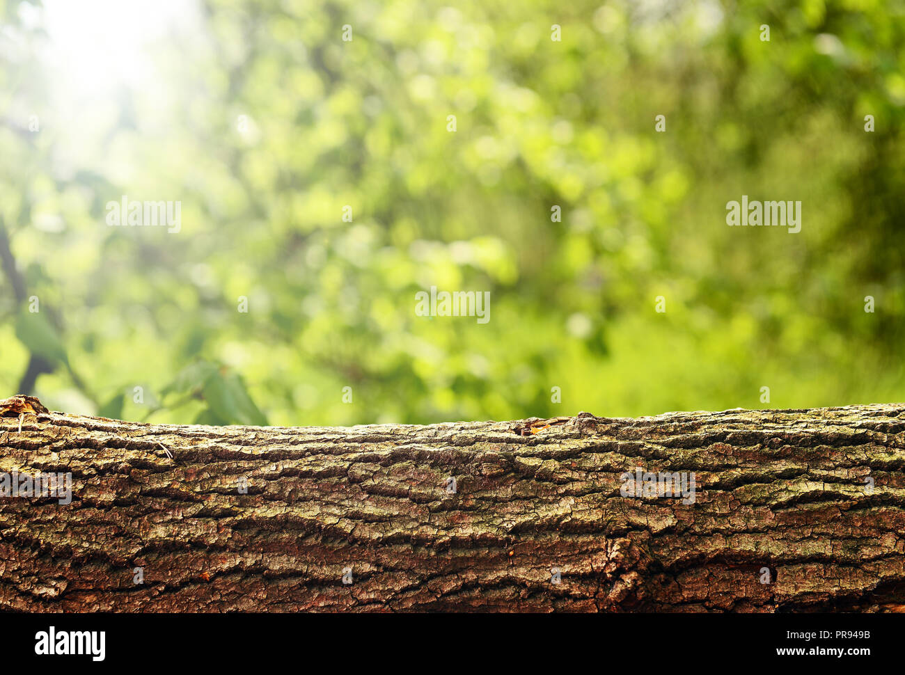 Wooden log background for product display montages Stock Photo - Alamy