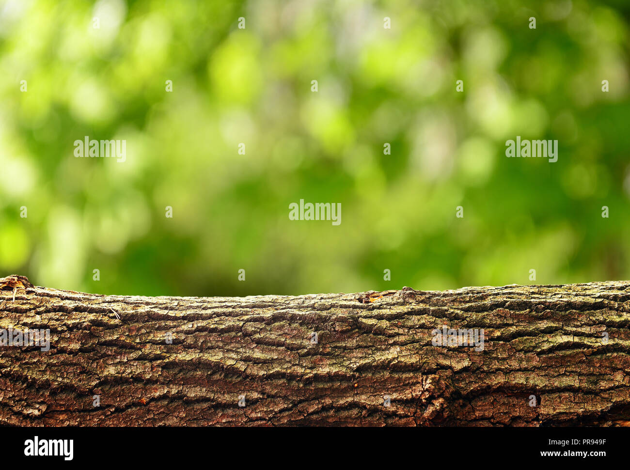 Wooden log background for product display montages Stock Photo - Alamy