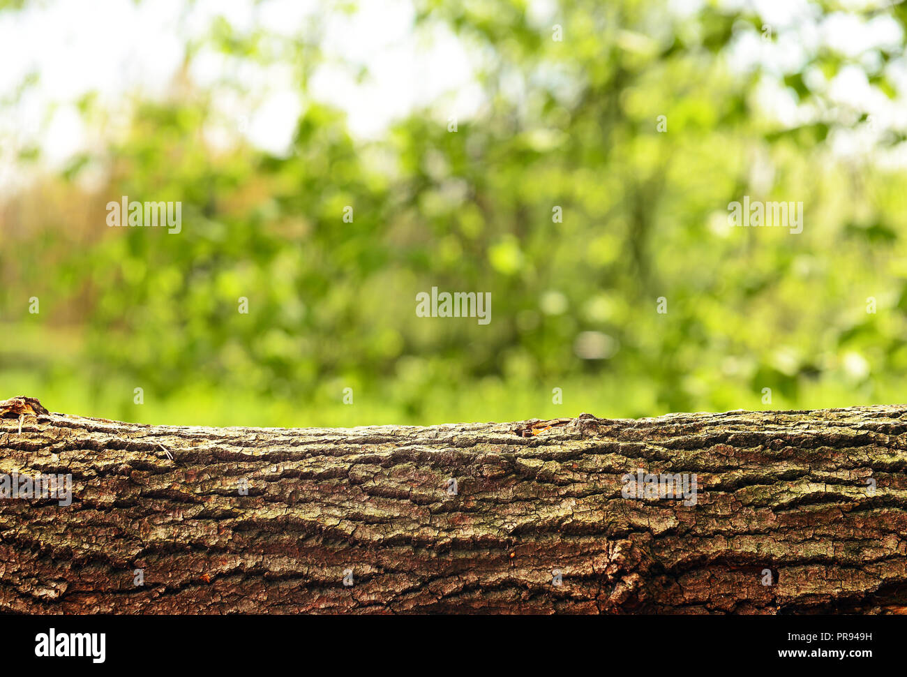 Wooden log background for product display montages Stock Photo - Alamy