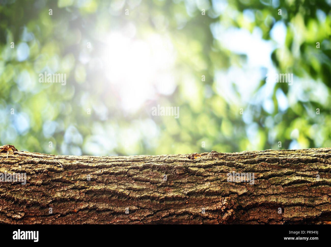 Wooden log background for product display montages Stock Photo - Alamy