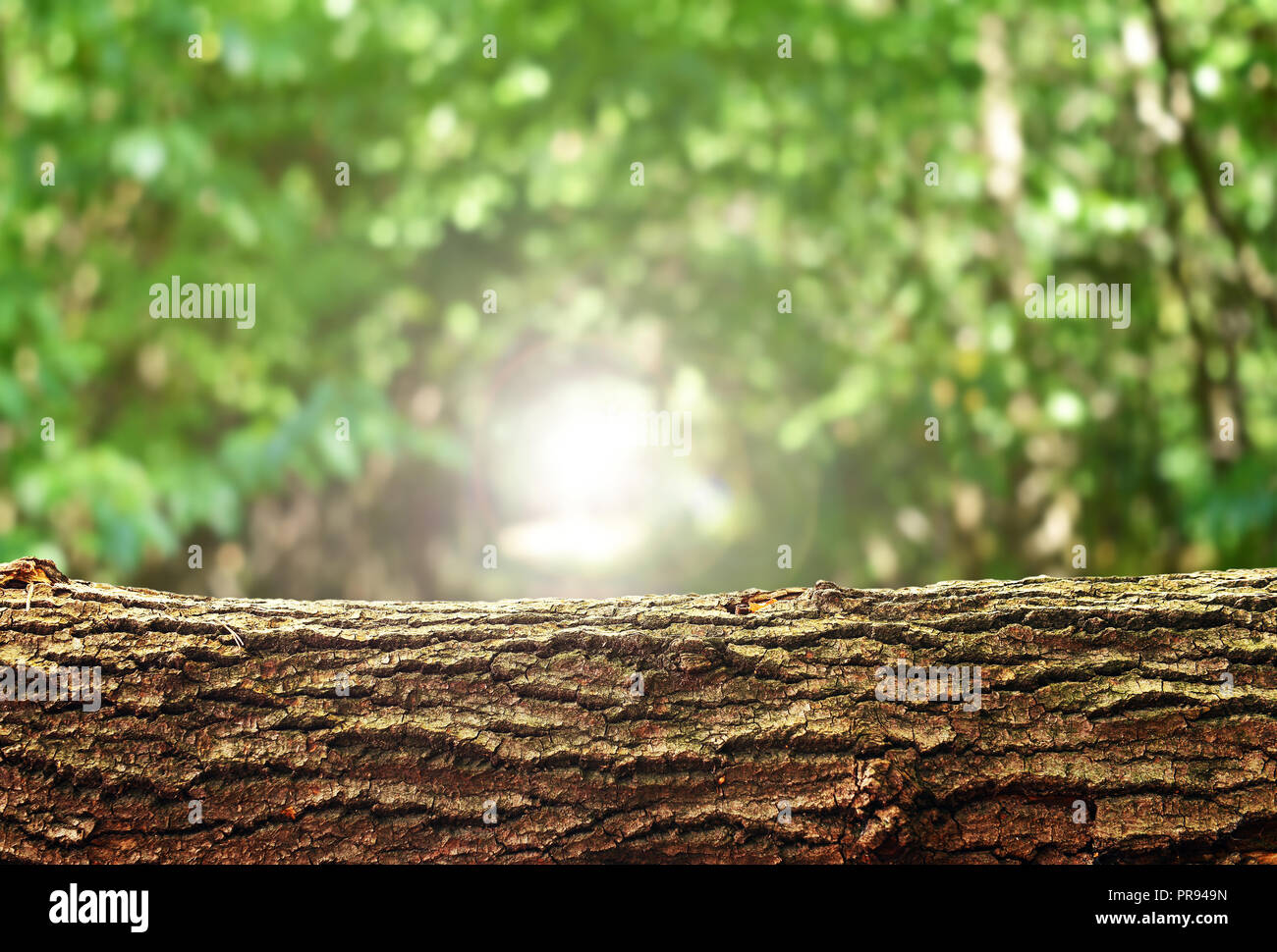 Wooden log background for product display montages Stock Photo - Alamy