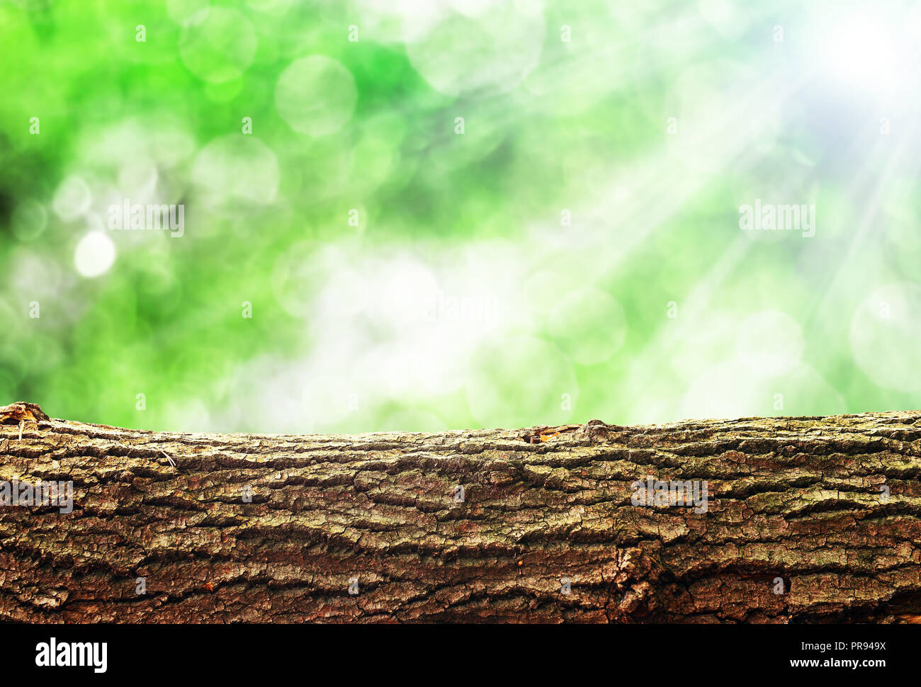 Wooden log background for product display montages Stock Photo - Alamy