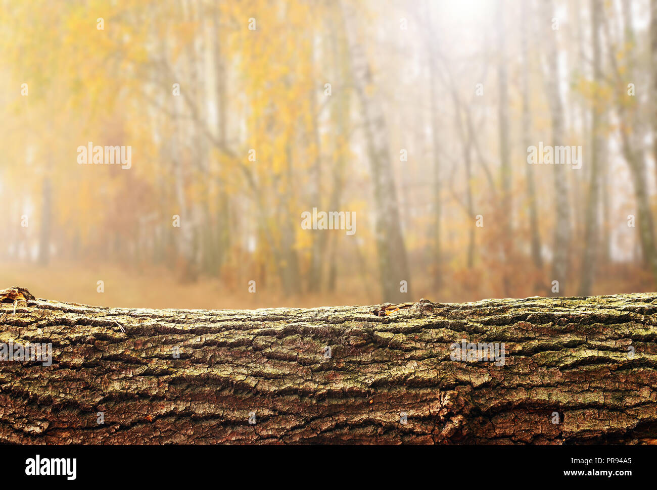 Wooden log background for product display montages Stock Photo - Alamy