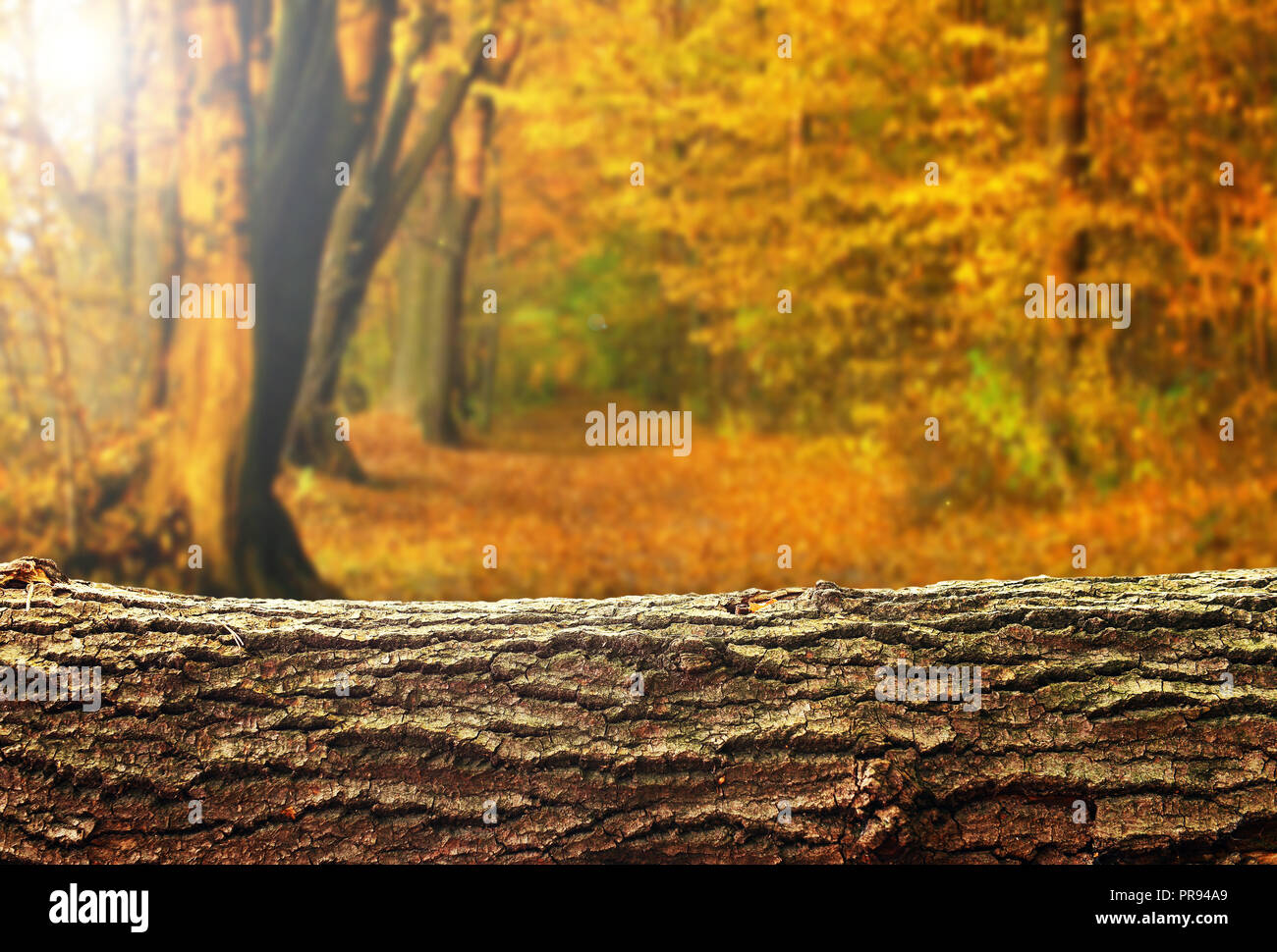 Wooden log background for product display montages Stock Photo - Alamy