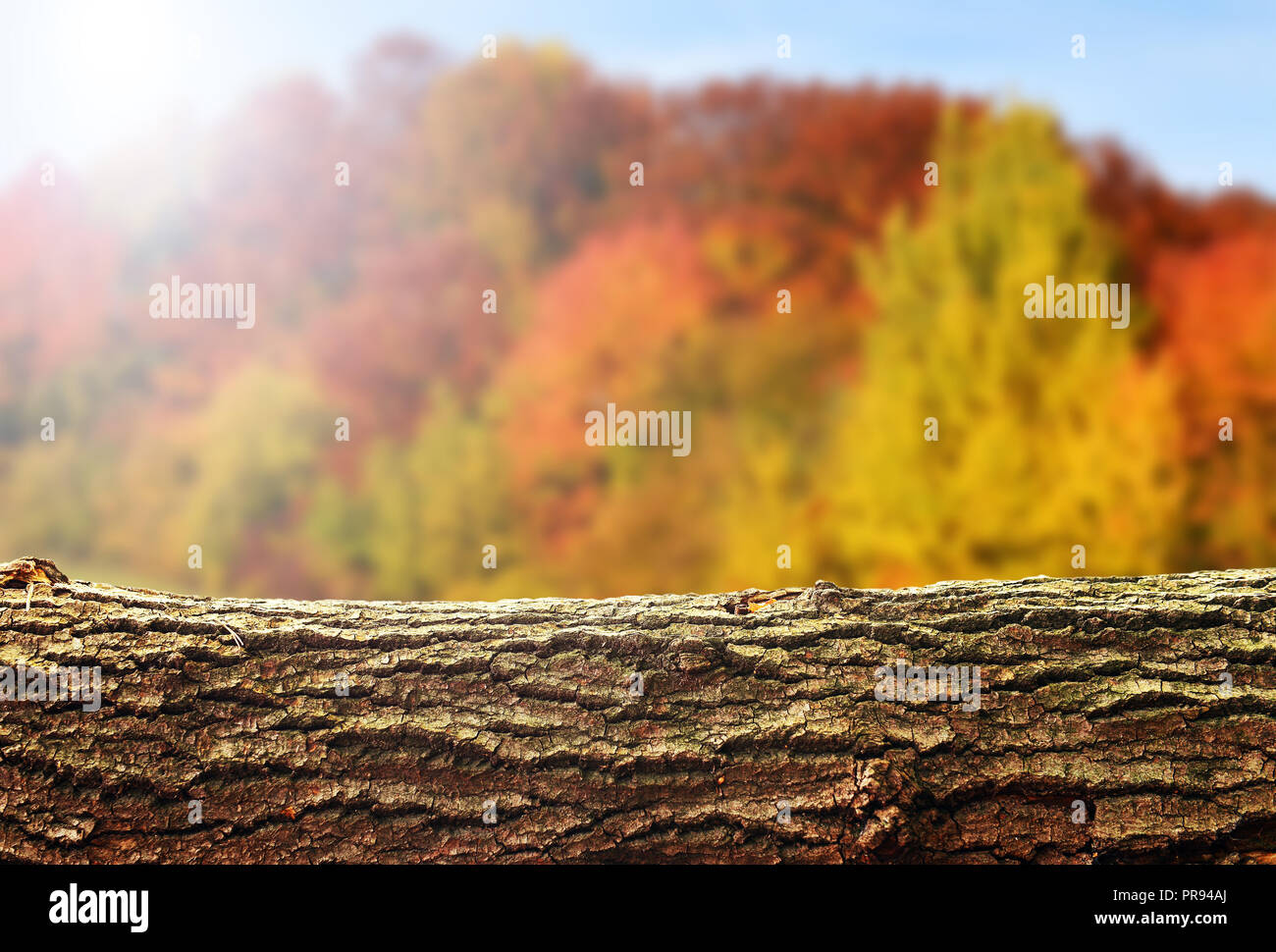 Wooden log background for product display montages Stock Photo - Alamy