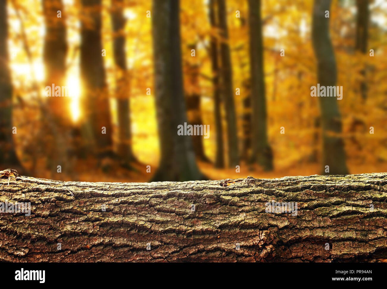 Wooden log background for product display montages Stock Photo - Alamy