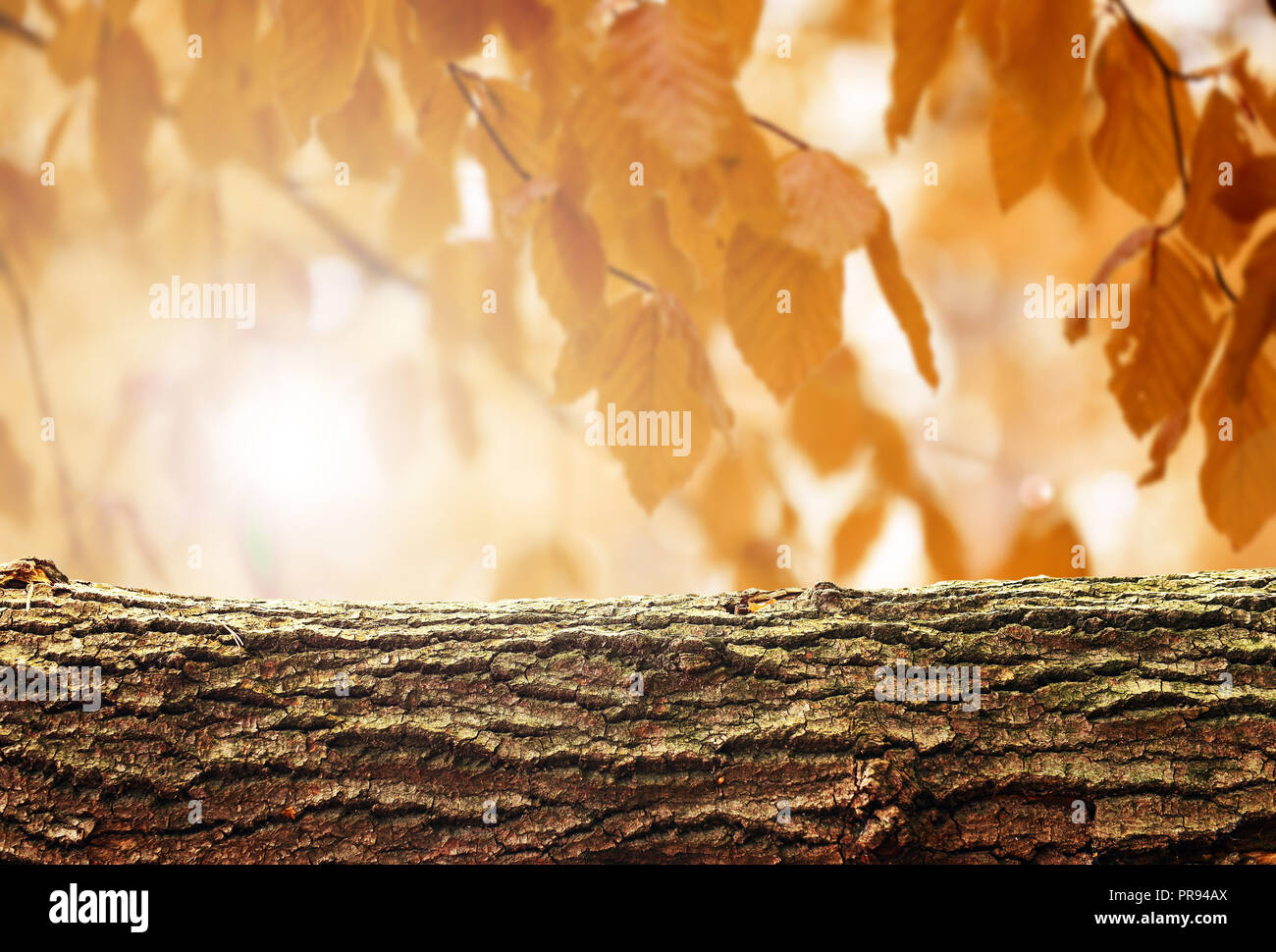 Wooden log background for product display montages Stock Photo - Alamy
