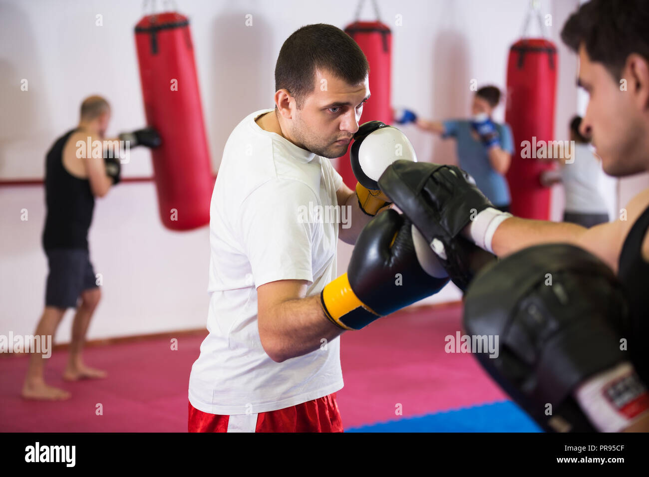 Portrait of two athlete men practicing boxing sparring at sport class ...