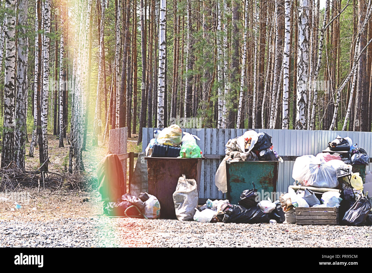 Litter box full of garbage in forest. Concept of ecology problem. Toned ...