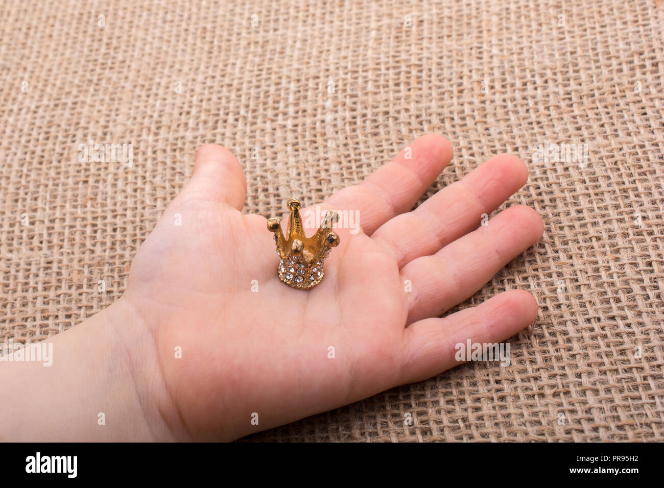 Hand holding a little model crown in hand Stock Photo - Alamy