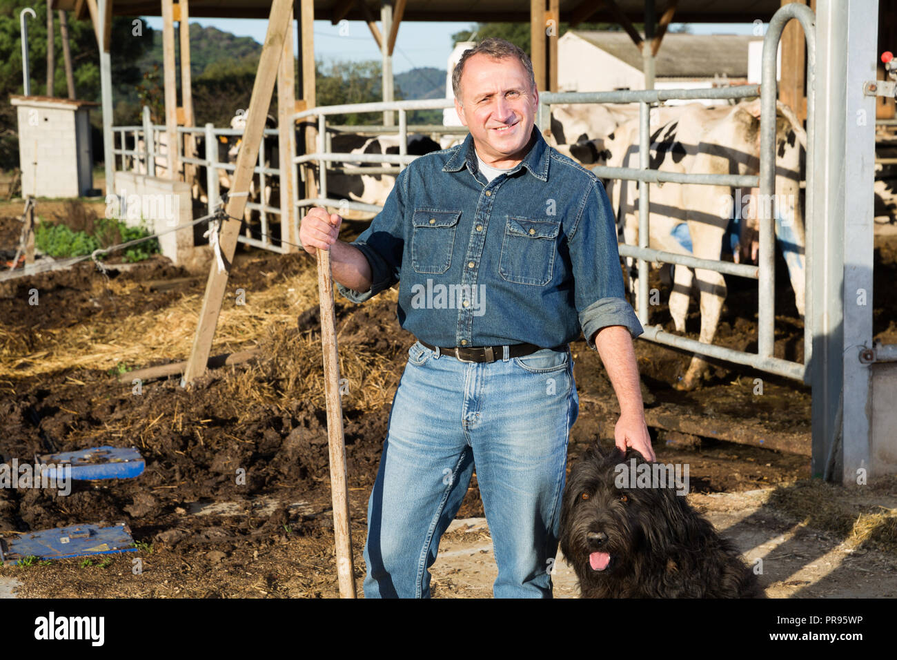Man farmer is standing with dog at the cow farm Stock Photo - Alamy