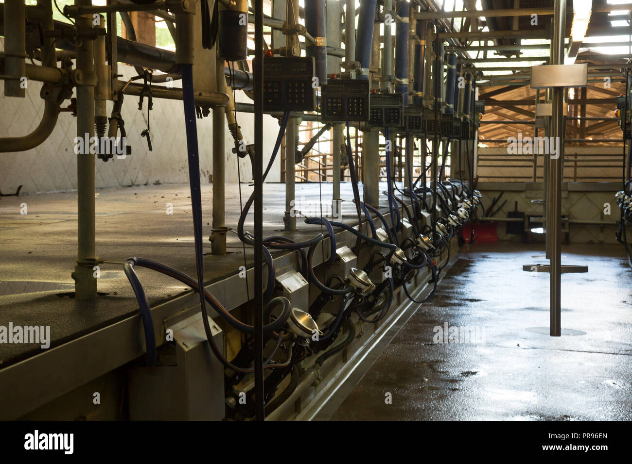 Modern milking farm equipment Stock Photo - Alamy