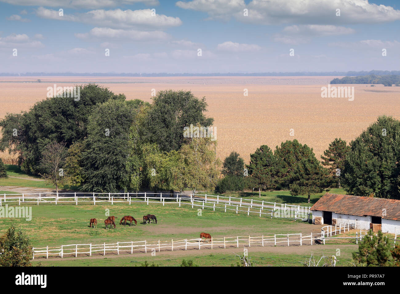 Animal farm landscape hi-res stock photography and images - Alamy