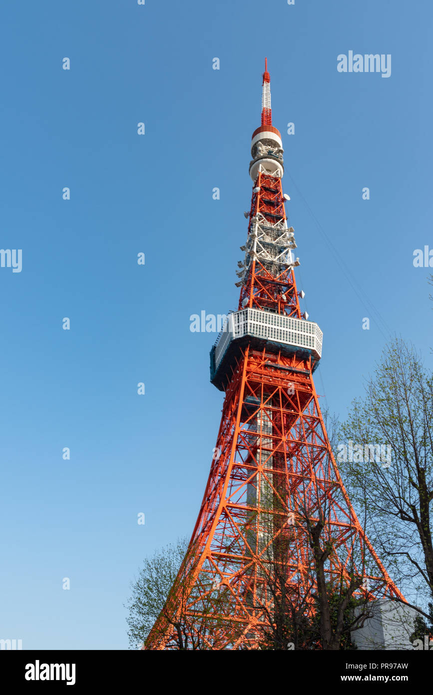 Tokyo tower and Sakura Cherry blossom in spring season at Tokyo, Japan ...