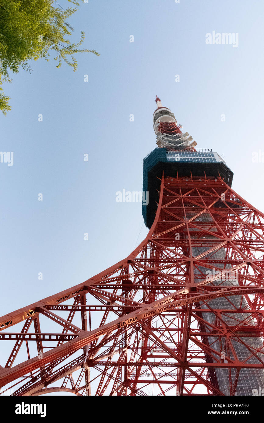 Tokyo tower and Sakura Cherry blossom in spring season at Tokyo, Japan ...