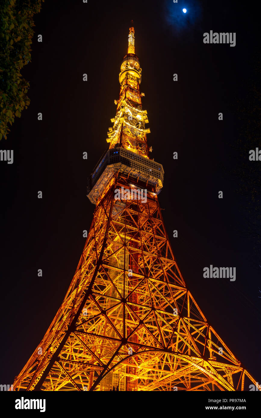 Tokyo tower and Sakura Cherry blossom in spring season at Tokyo, Japan ...