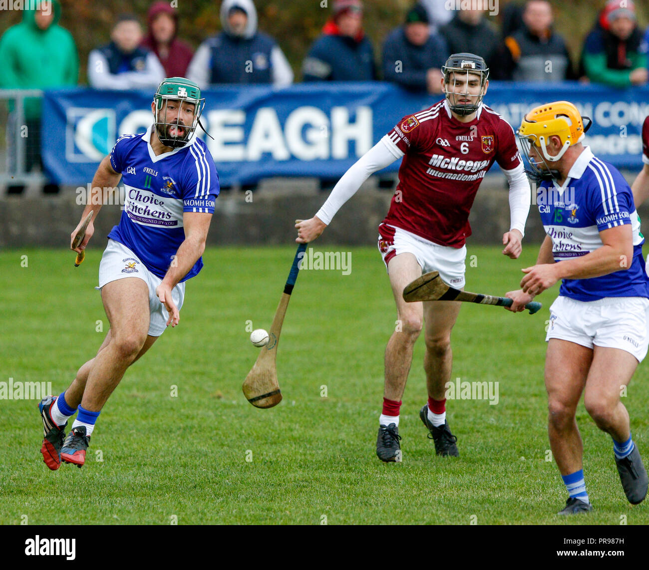 Irish origin hi-res stock photography and images - Alamy