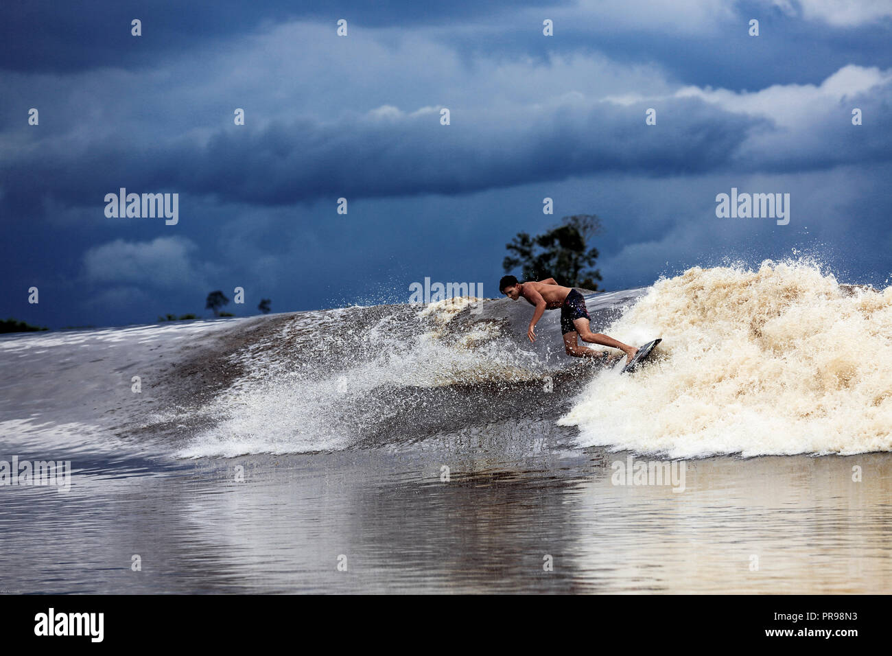 Surfer surfing river bore wave on the Kampar River in Sumatra ...