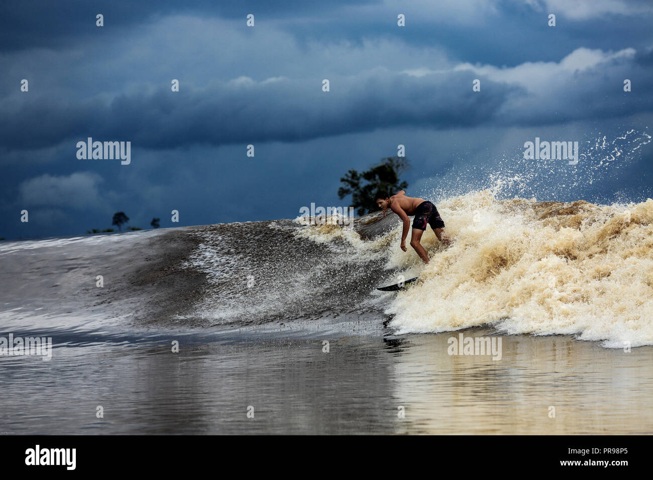 Surfer surfing river bore wave on the Kampar River in Sumatra ...