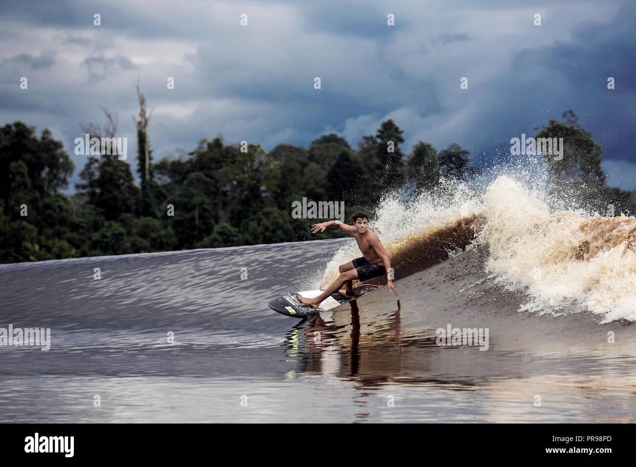 Surfer surfing river bore wave on the Kampar River in Sumatra ...