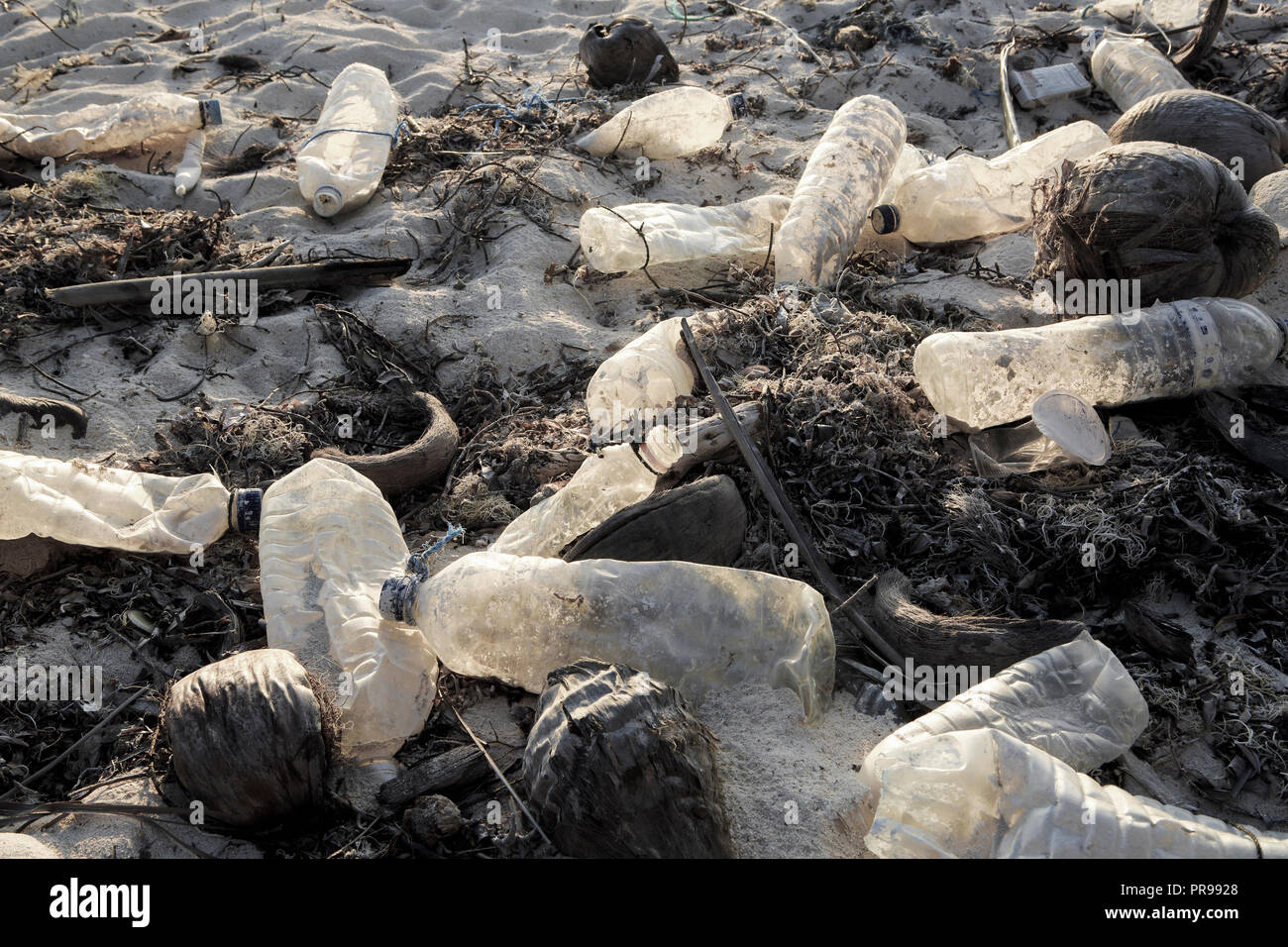 Empty plastic water bottles polluting beach in Indonesia Stock Photo ...