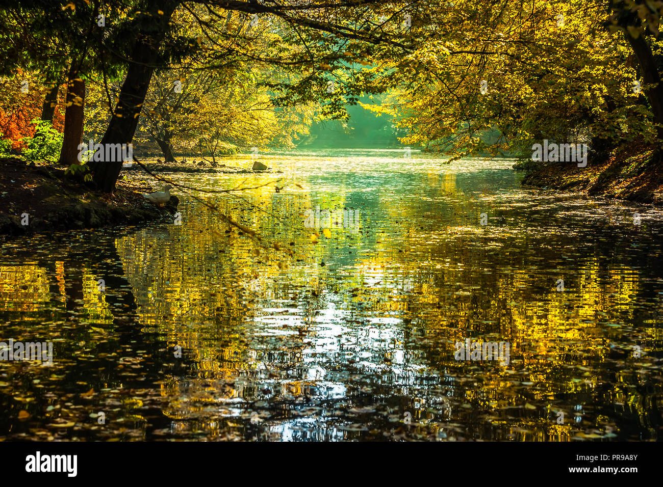 Little pond state park hi-res stock photography and images - Alamy