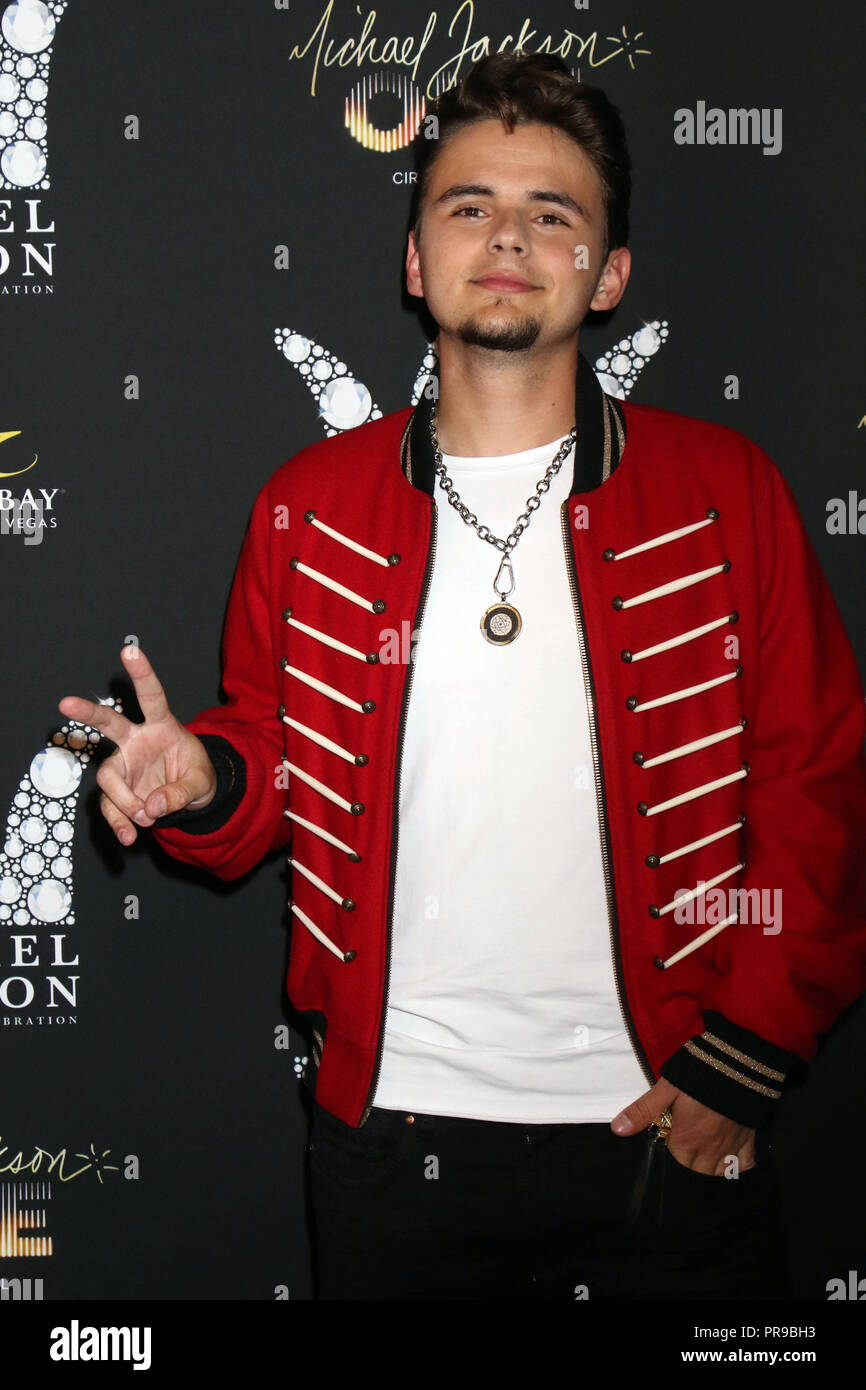 Michael Jackson Diamond Birthday Celebration in Las Vegas Featuring ...