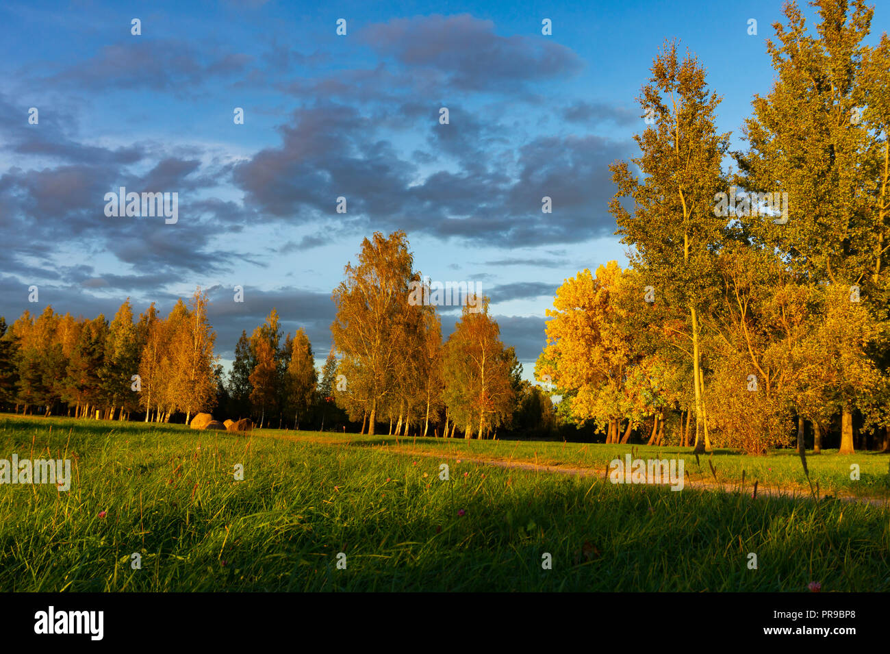 Autumn begins leaves changing color in first days of fall season change ...