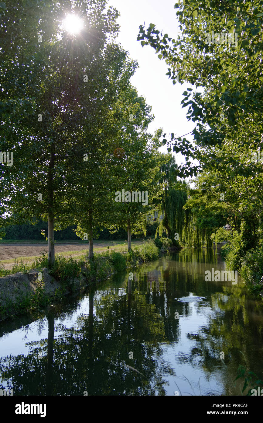 Reflections in the river with willows Stock Photo - Alamy