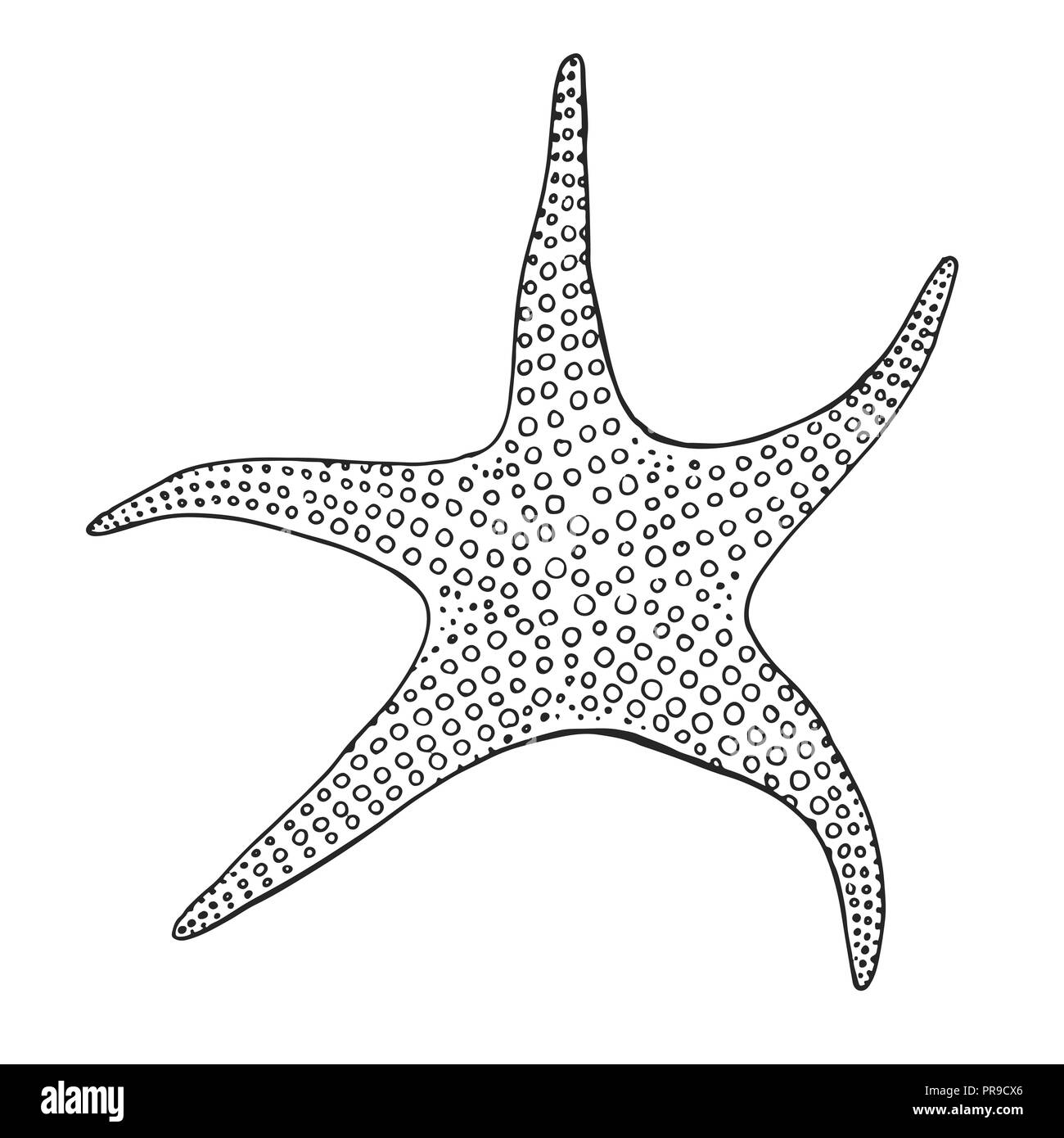 Line art style starfish Stock Vector Images - Alamy