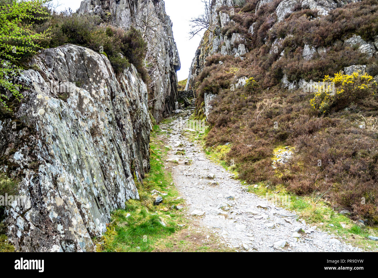 Lonely path leading into the mountain gorge Stock Photo - Alamy