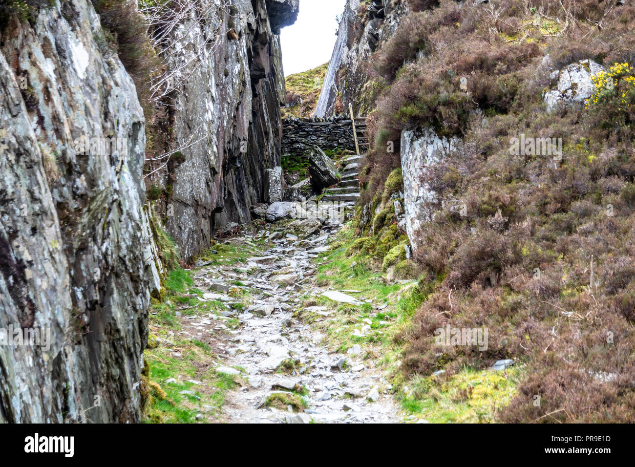 Lonely path leading into the mountain gorge Stock Photo - Alamy
