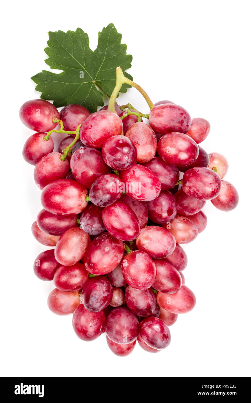 pink grapes with leaf isolated on the white background Stock Photo - Alamy
