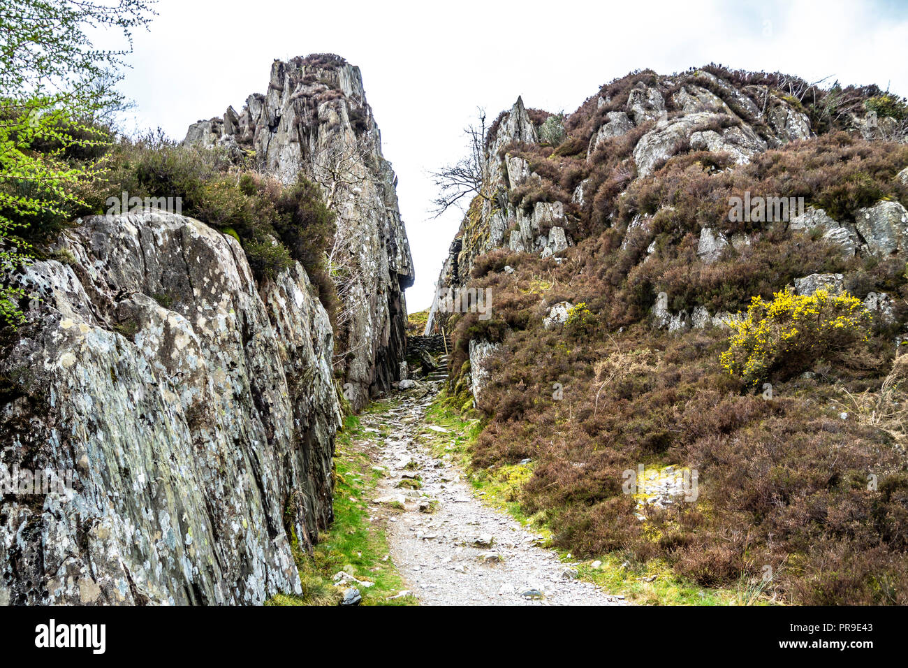 Lonely path leading into the mountain gorge Stock Photo - Alamy