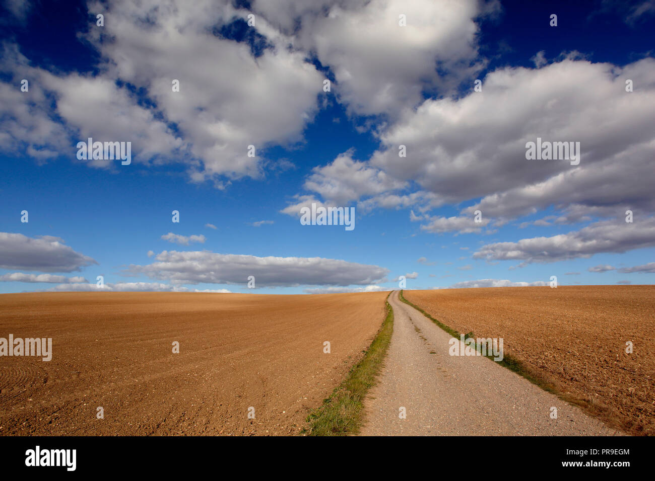 Bare newly harrowed agricultural fields and a dirt road farm track with ...